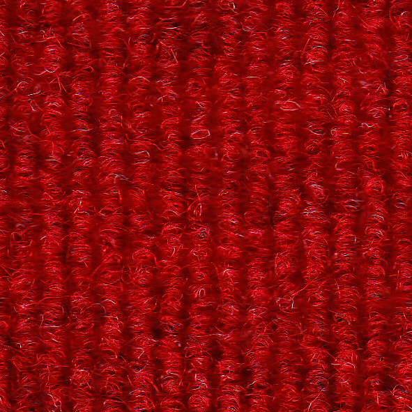 CFS New Typhoon Poppy